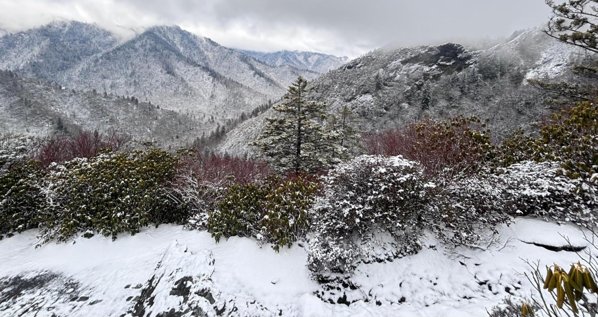How to plan a winter smokies trip on a budget | London Daily News