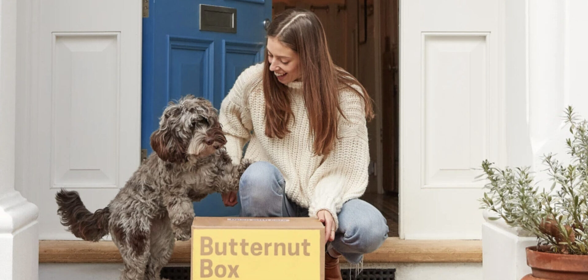 BUTTERNUT BOX makes Customer's Dogs the Stars of New London Billboard ...