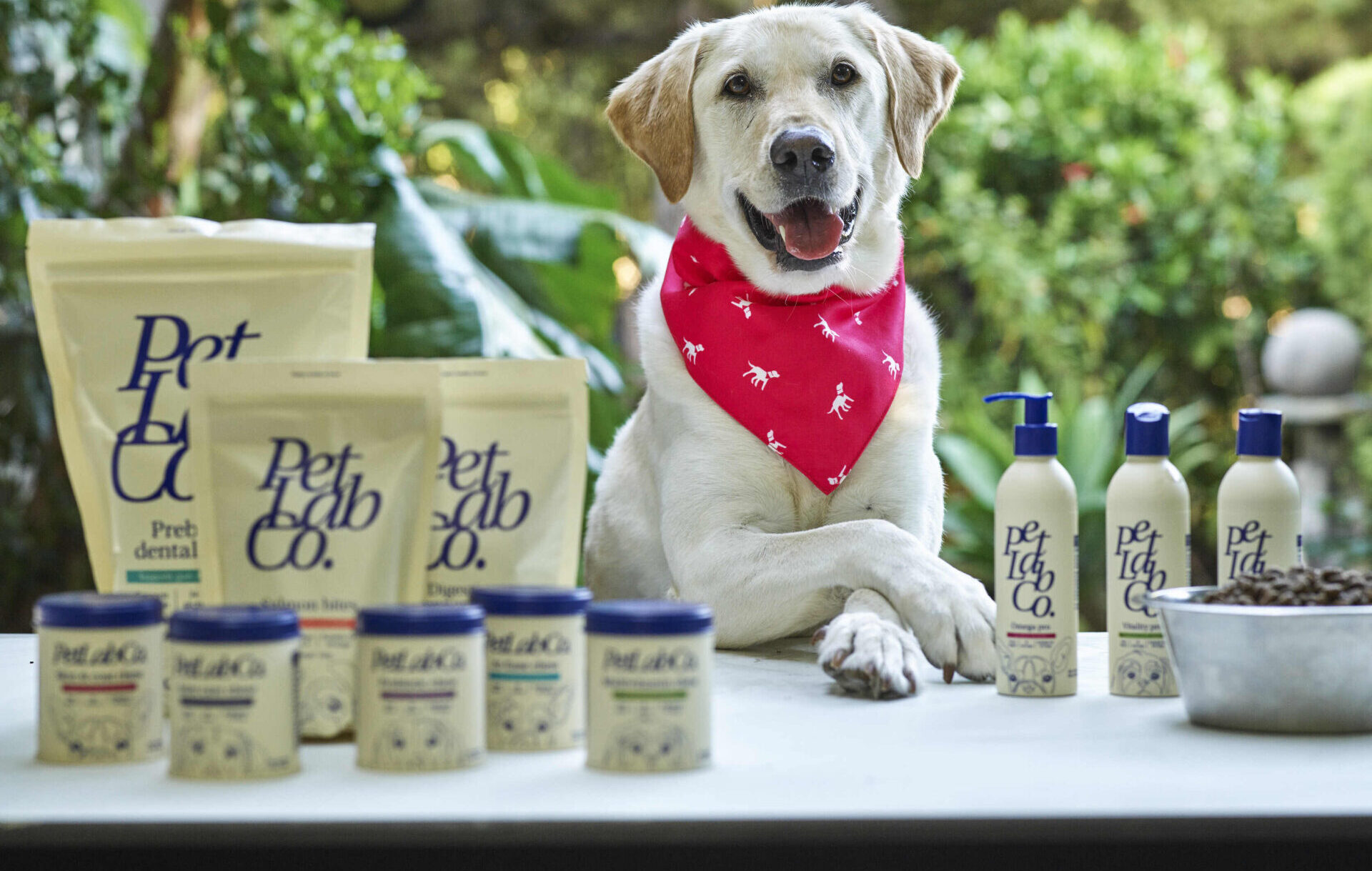 Petlab Expands into Canada and Europe with Support from HSBC UK ...