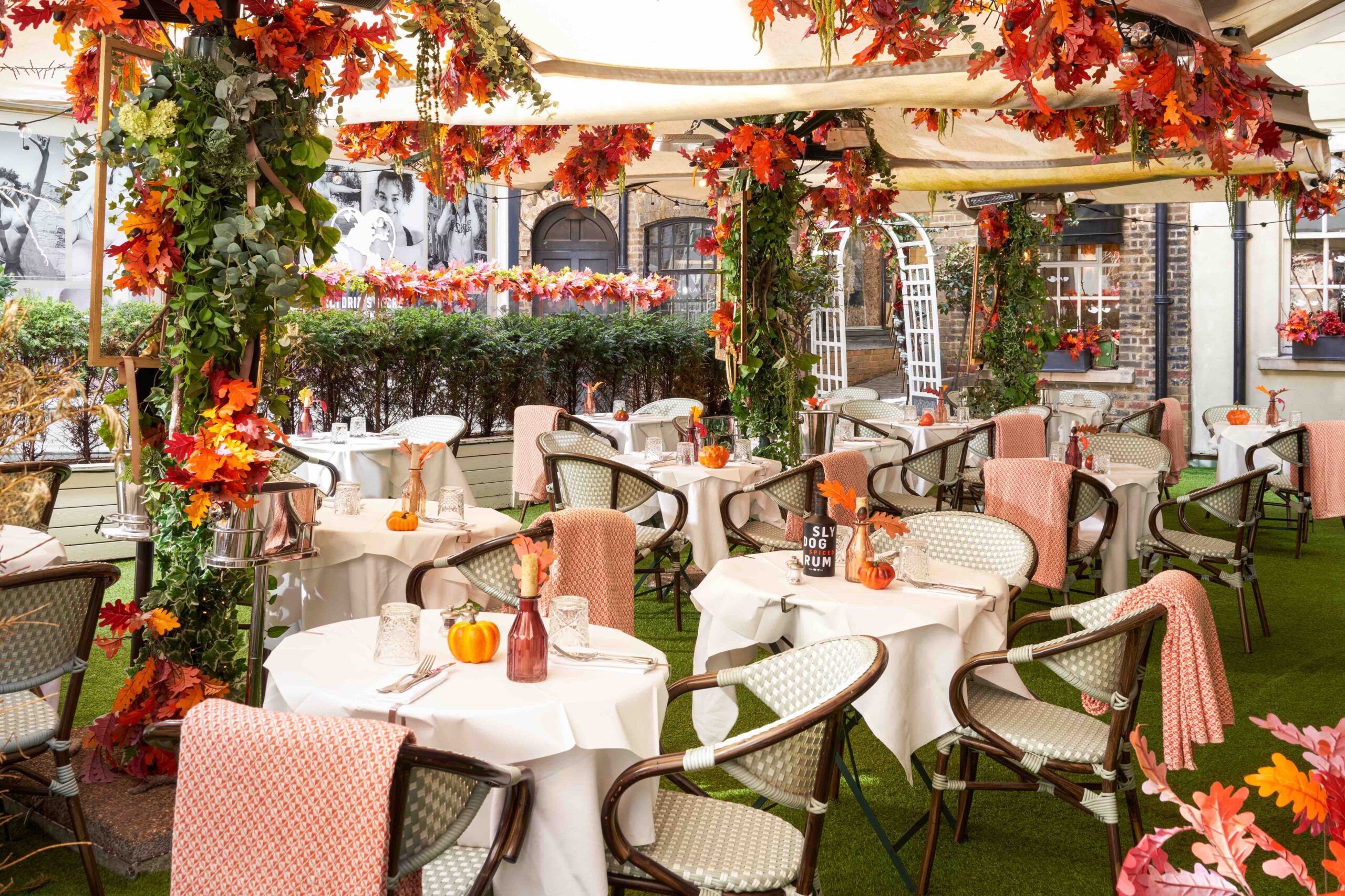 Wander ‘into The Woods’ With Sly Dog Spiced Ruma at Hush Mayfair ...