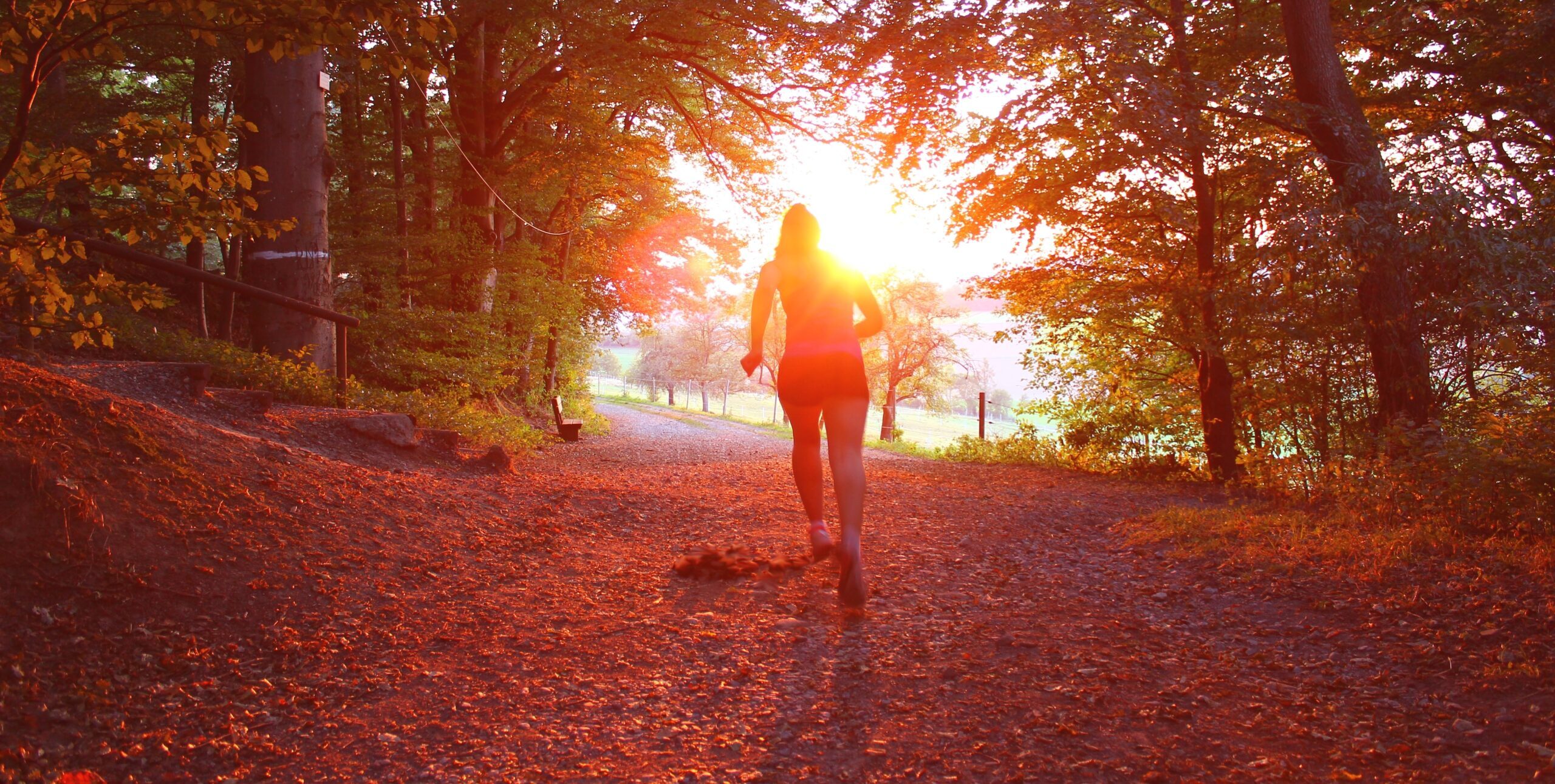 Autumn running is officially the best running season! | London Daily News