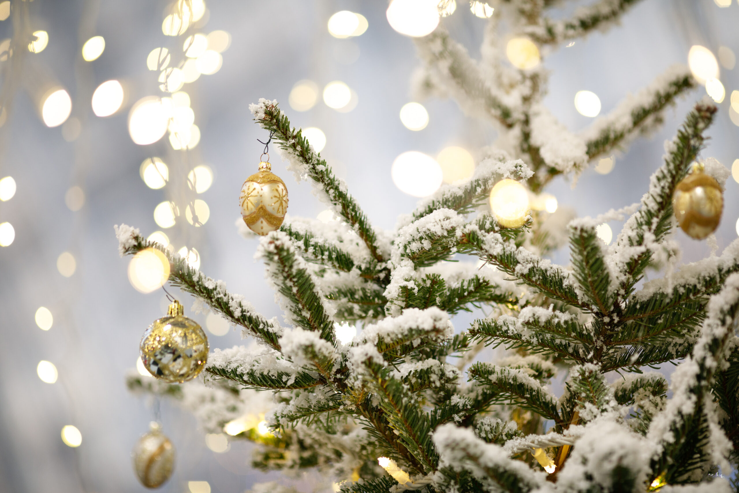 Let It Show: Ideal Home Show Christmas Returns to Olympia This November ...