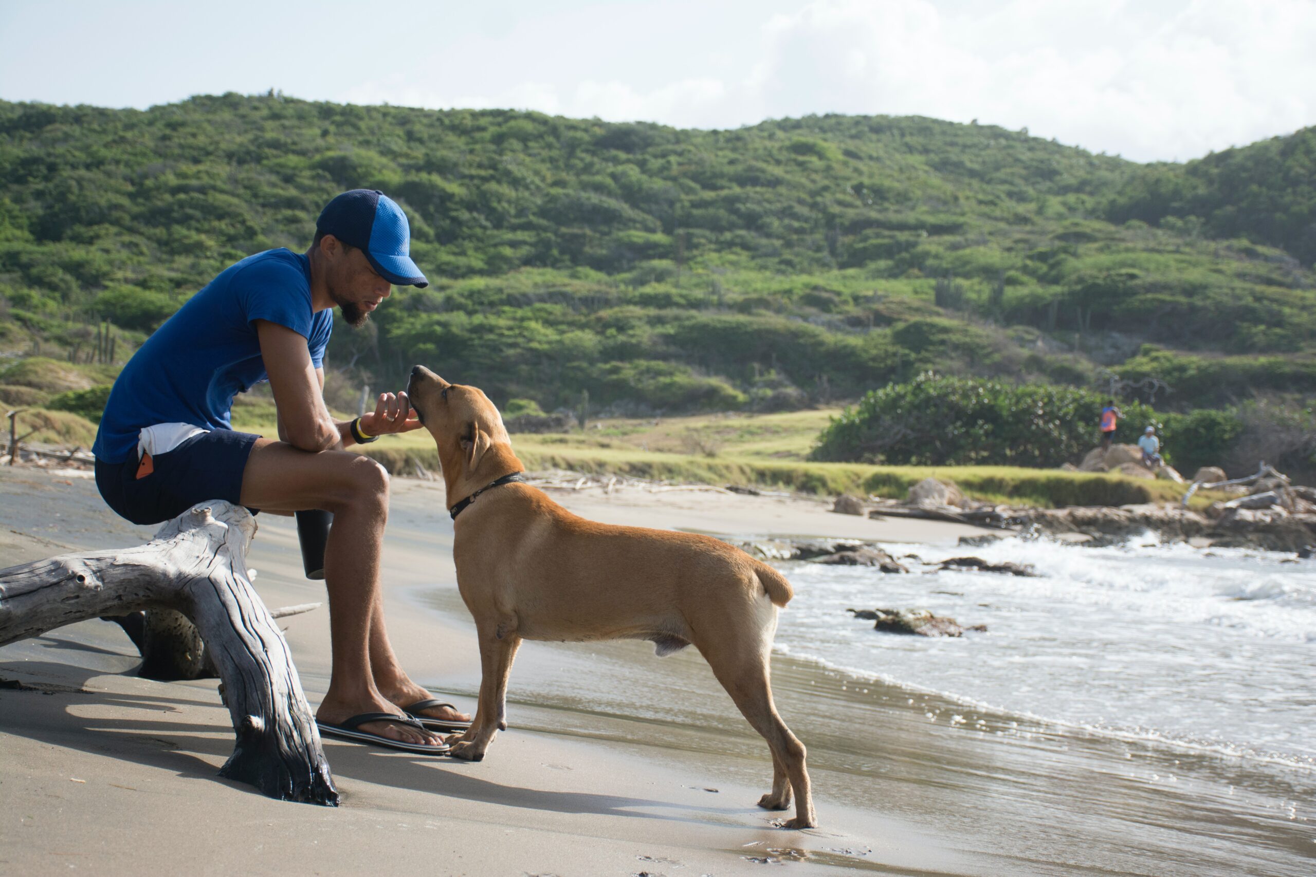 Why Dogs Are Man's Best Friend | London Daily News