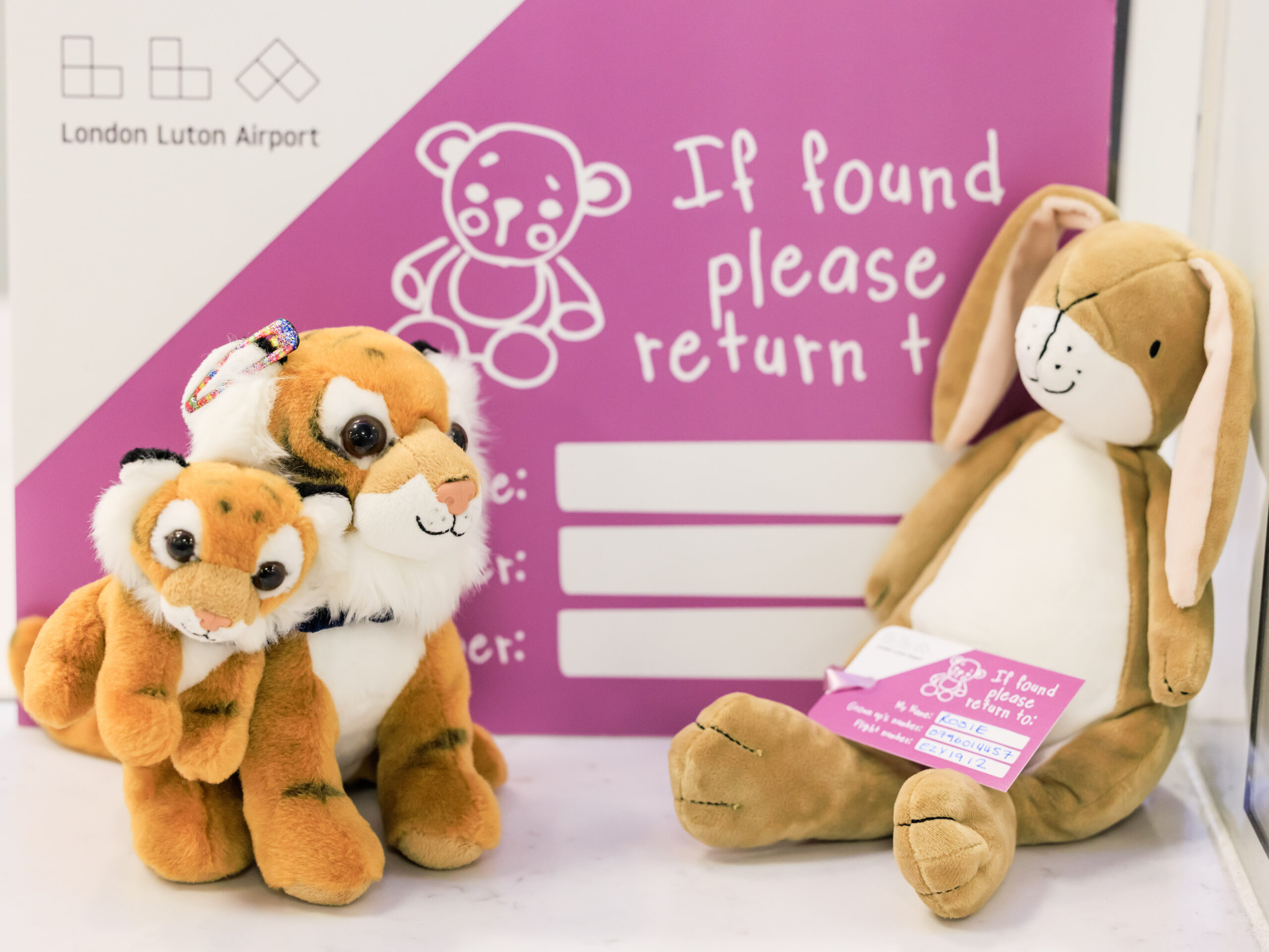 Lost but Ready to Be Reuni-TED | London Daily News