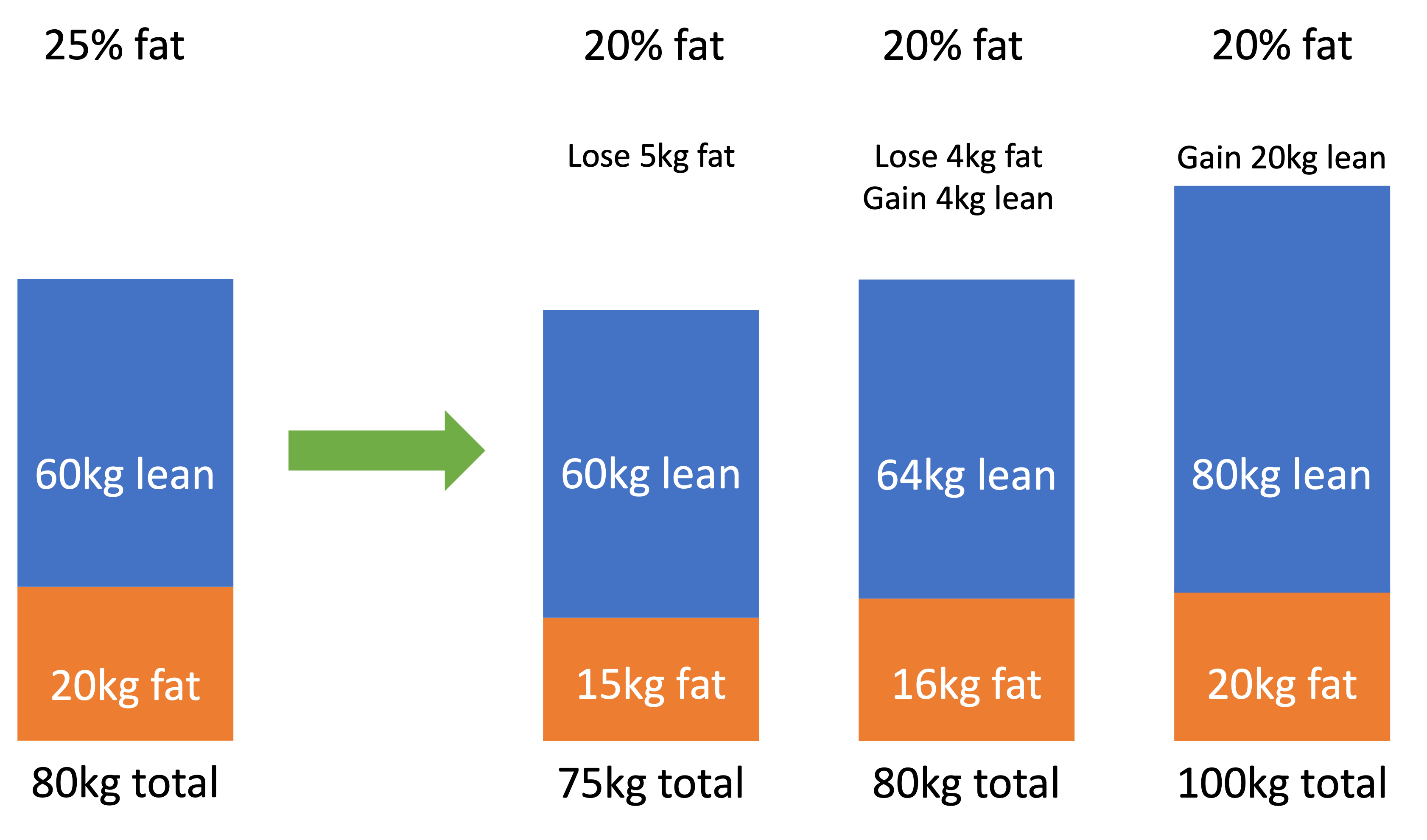 Why Body Fat Percentage is Flawed | London Daily News