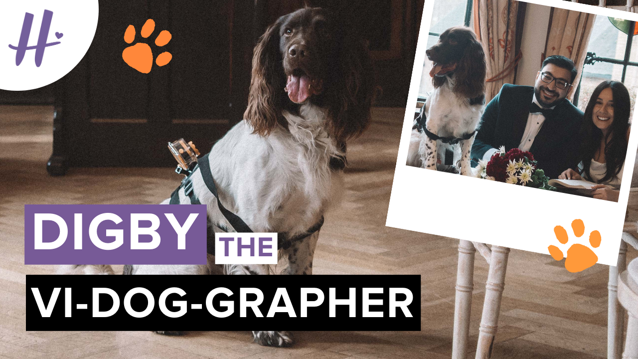 UK’s first ‘PAW’fessional Wedding Vi-DOG-grapher! | London Daily News