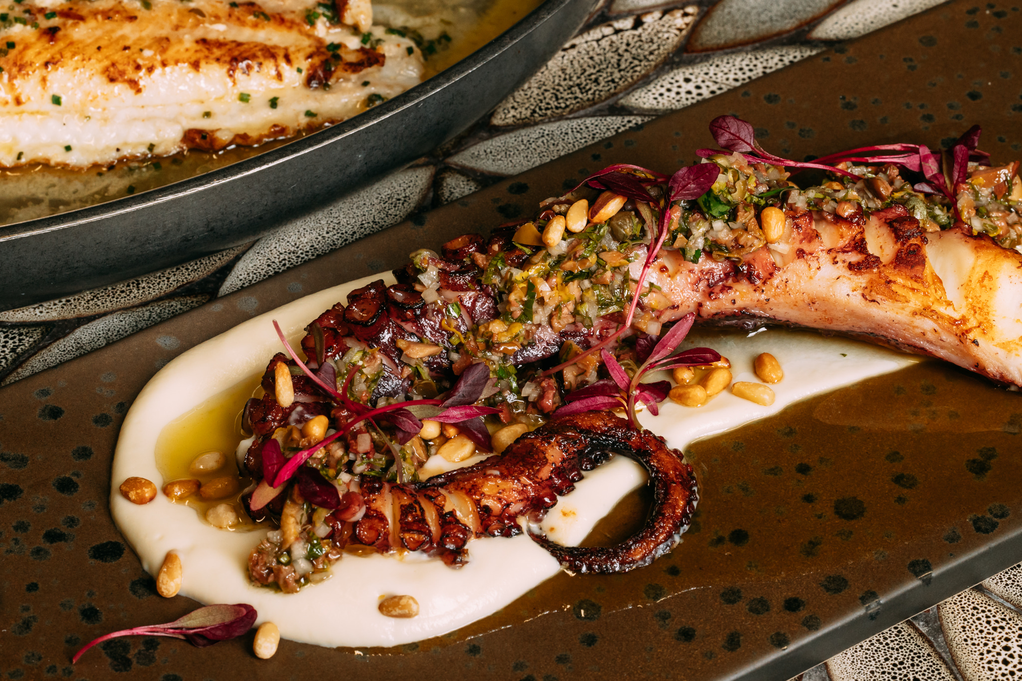 Riviera: Mayfair's New Southern-French Oasis | London Daily News