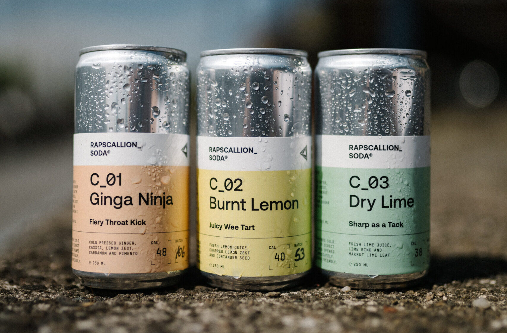 Rapscallion Soda revamps production to lead sustainable soft drinks ...