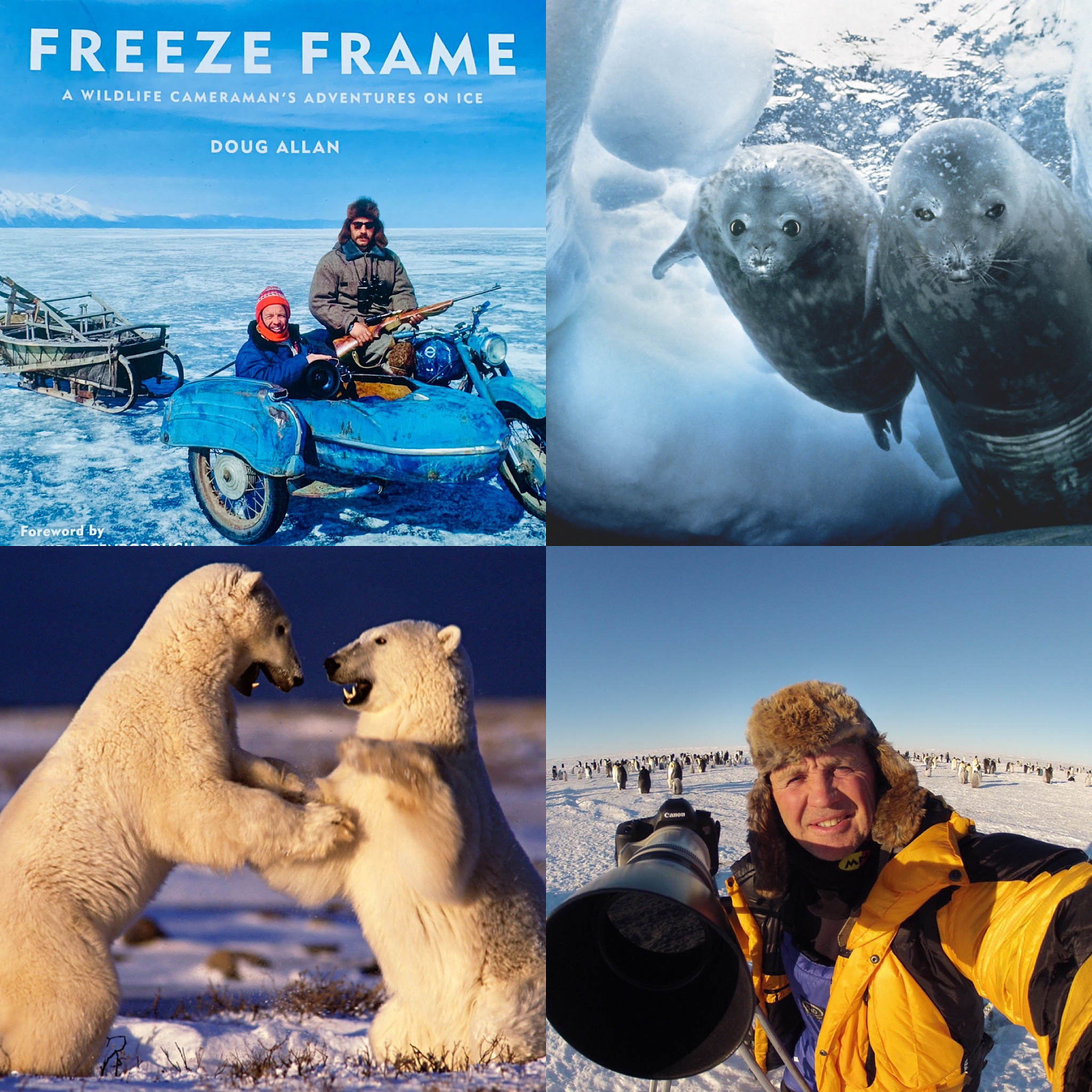 Doug Allan: On his big break, Sir David Attenborough, polar bears and ...