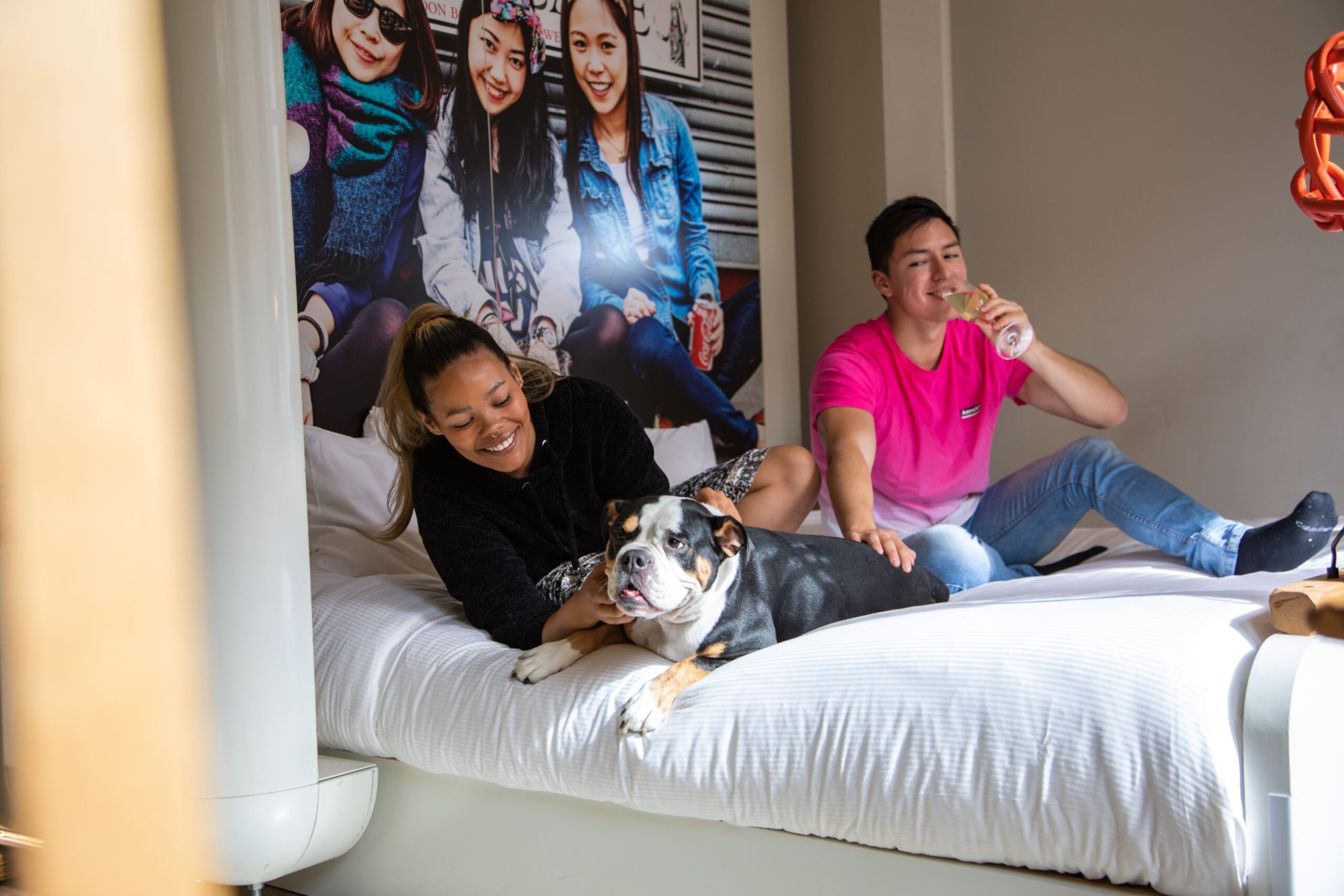 Who Let The Dogs Inn? Nick Ede's guide to the best dog friendly hotels ...