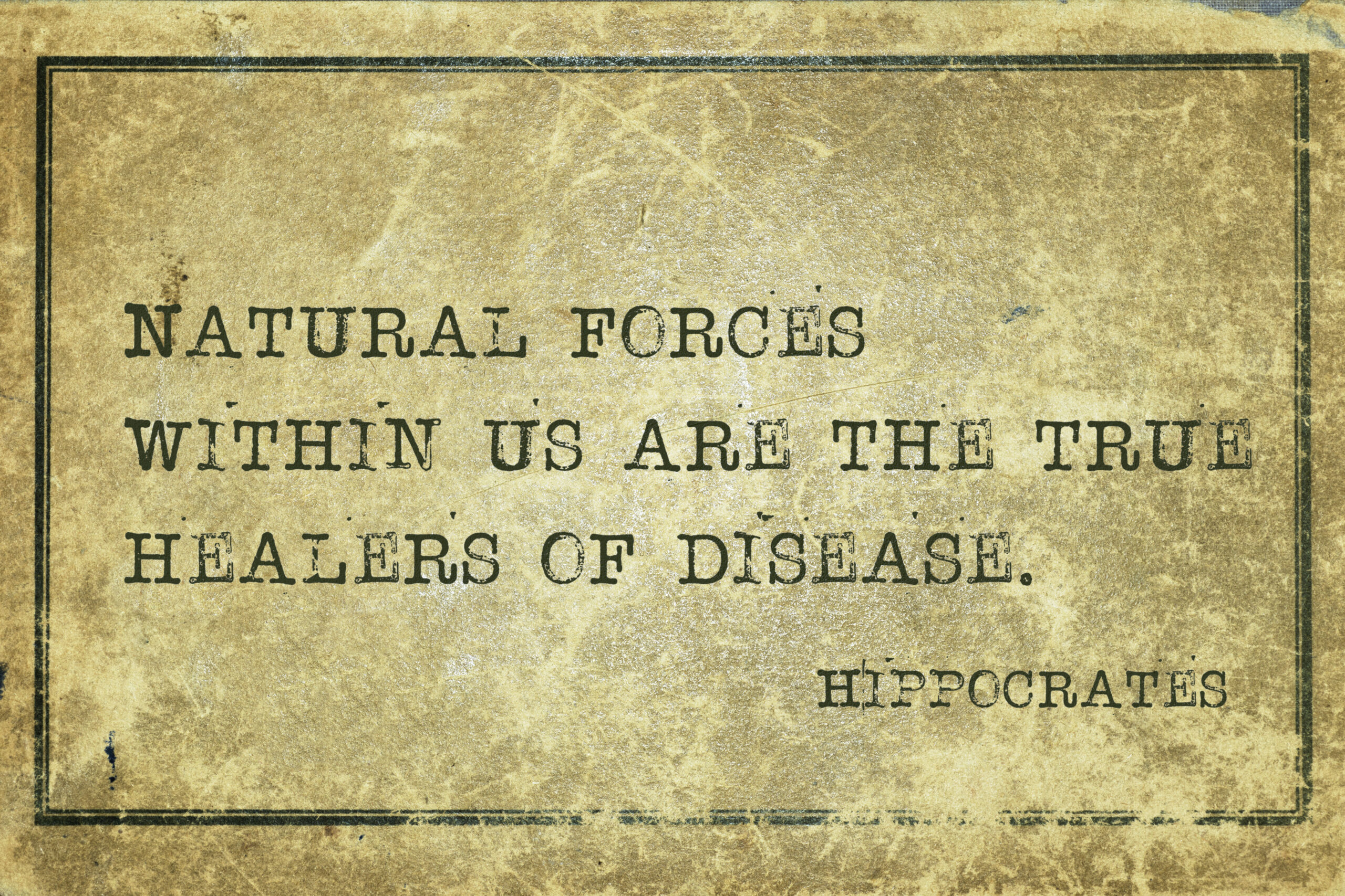The Hippocrates Wellness Institute and it’s beginnings | London Daily News