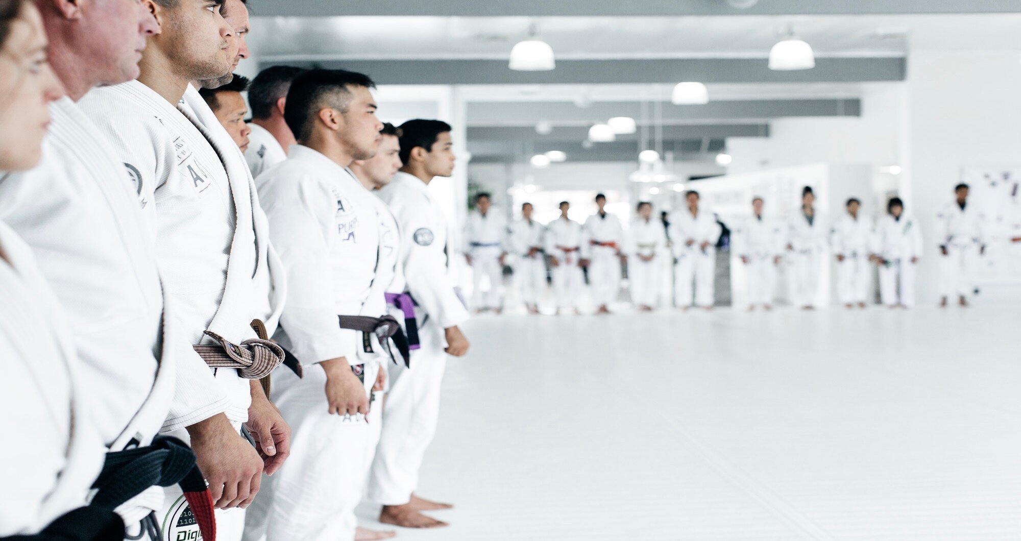 Can BJJ Build Muscles? | London Daily News