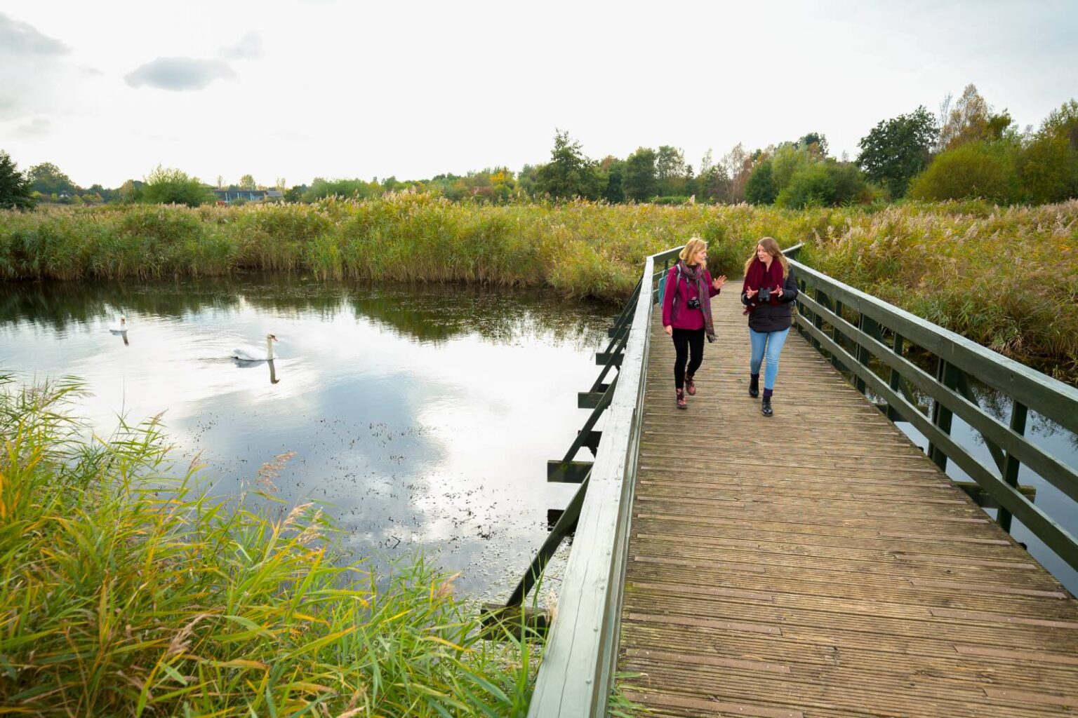 London Wetland Centre offering 2-for-1 entry for World Wetlands Day ...