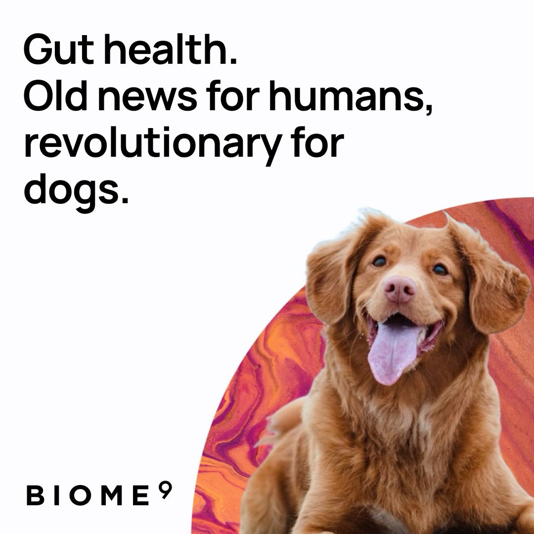 BIOME9 - UK's first AI Microbiome testing kit for dogs to transform ...