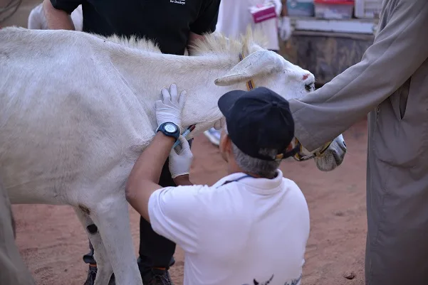 Film by actor and animal rights activist Peter Egan shines a light on ...
