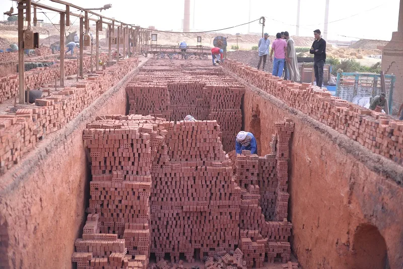 Film by actor and animal rights activist Peter Egan shines a light on ...