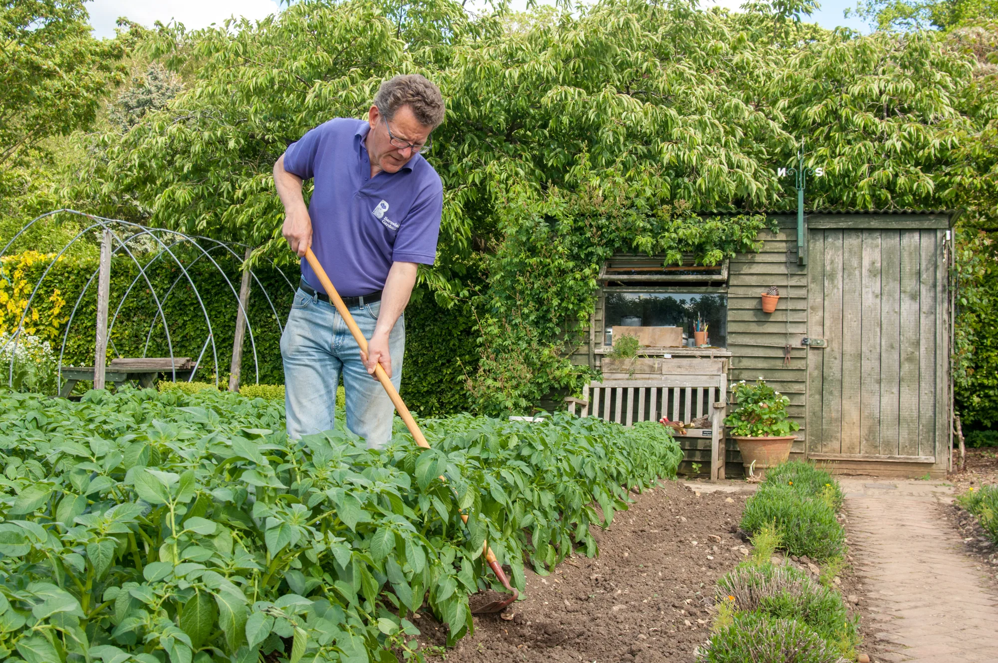 Barnsdale Gardens - Nick Hamilton's Top Five Winter Veg | London Daily News