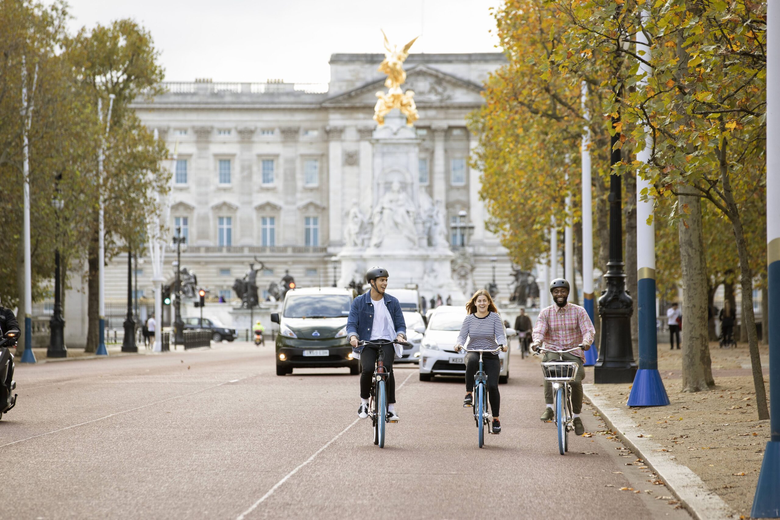 Petal to the metal: Dutch experts curate best biking trails as cycling ...