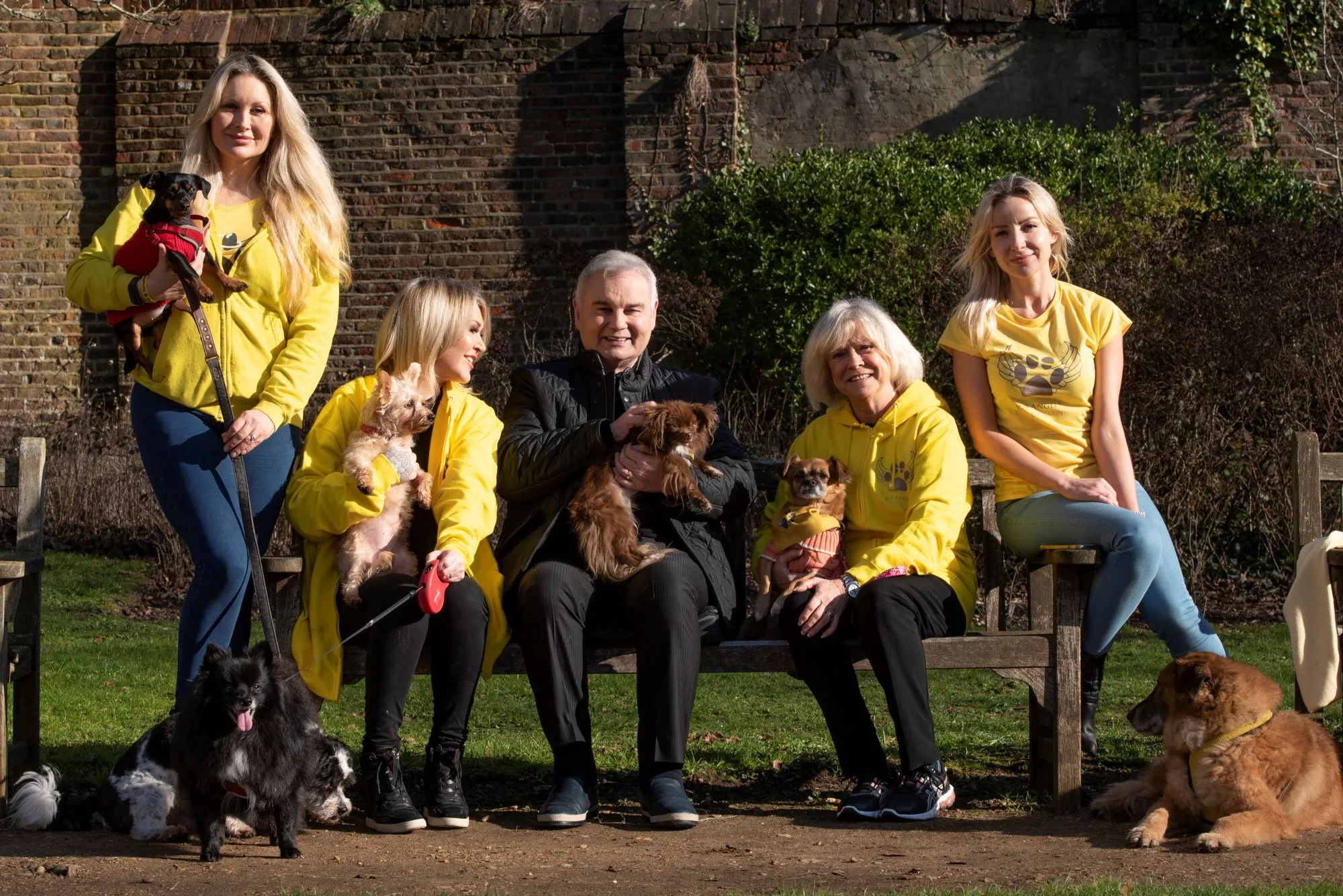 Eammon Holmes OBE joins Sue Barker CBE as a Patron for dog rescue ...