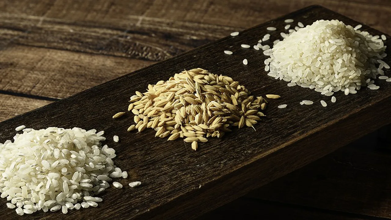 European rice – 8 facts you might be surprised to learn | London Daily News