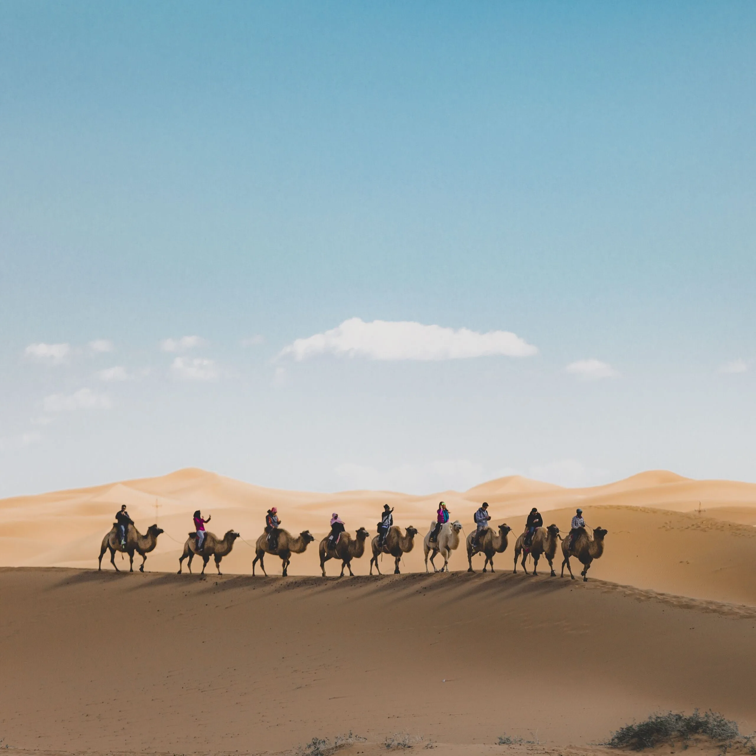 8 most beautiful places to visit in Saudi Arabia | London Daily News