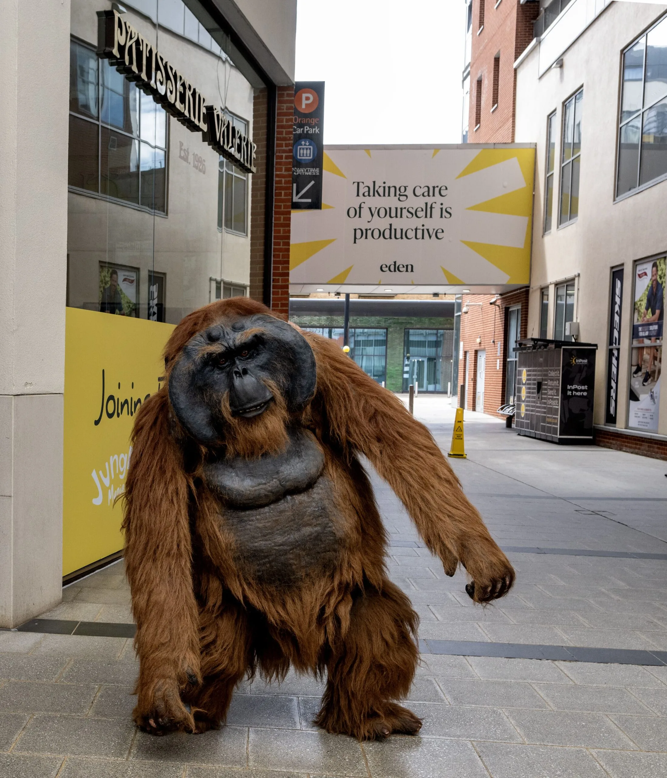Shoppers took a walk on the wild side at Eden High Wycombe | London ...