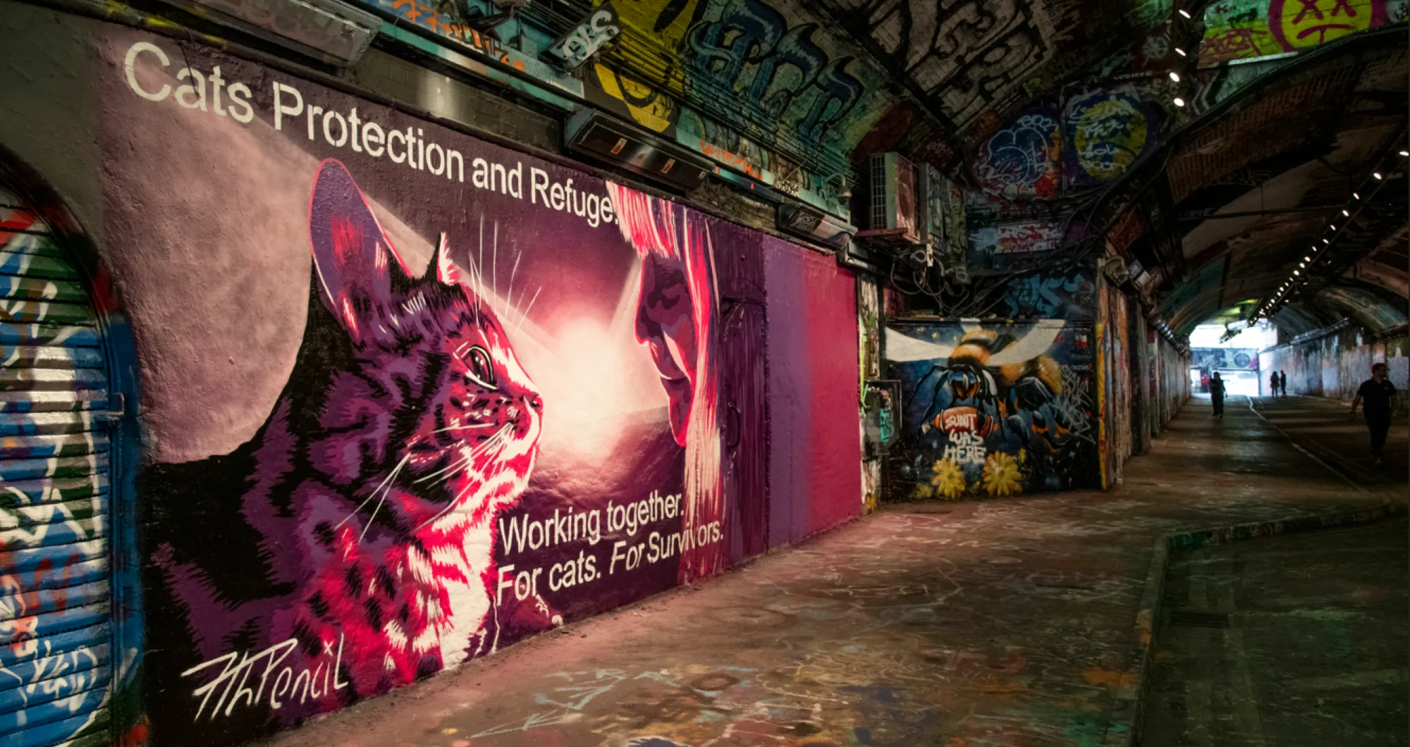 Protecting cats, empowering survivors: Cats Protection and Refuge ...