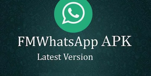 The influence of FM WhatsApp on cross-border communication and ...