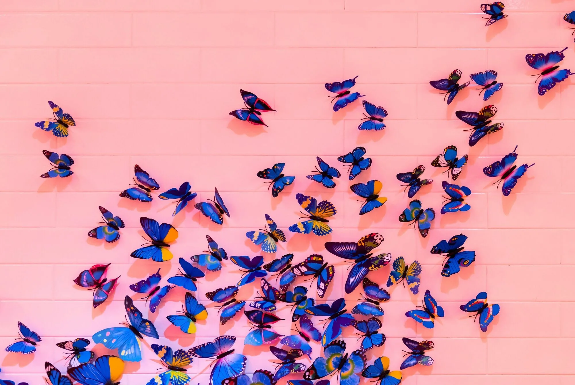 Daniel York Loh: The personal experiences that lead me to the Dao ...