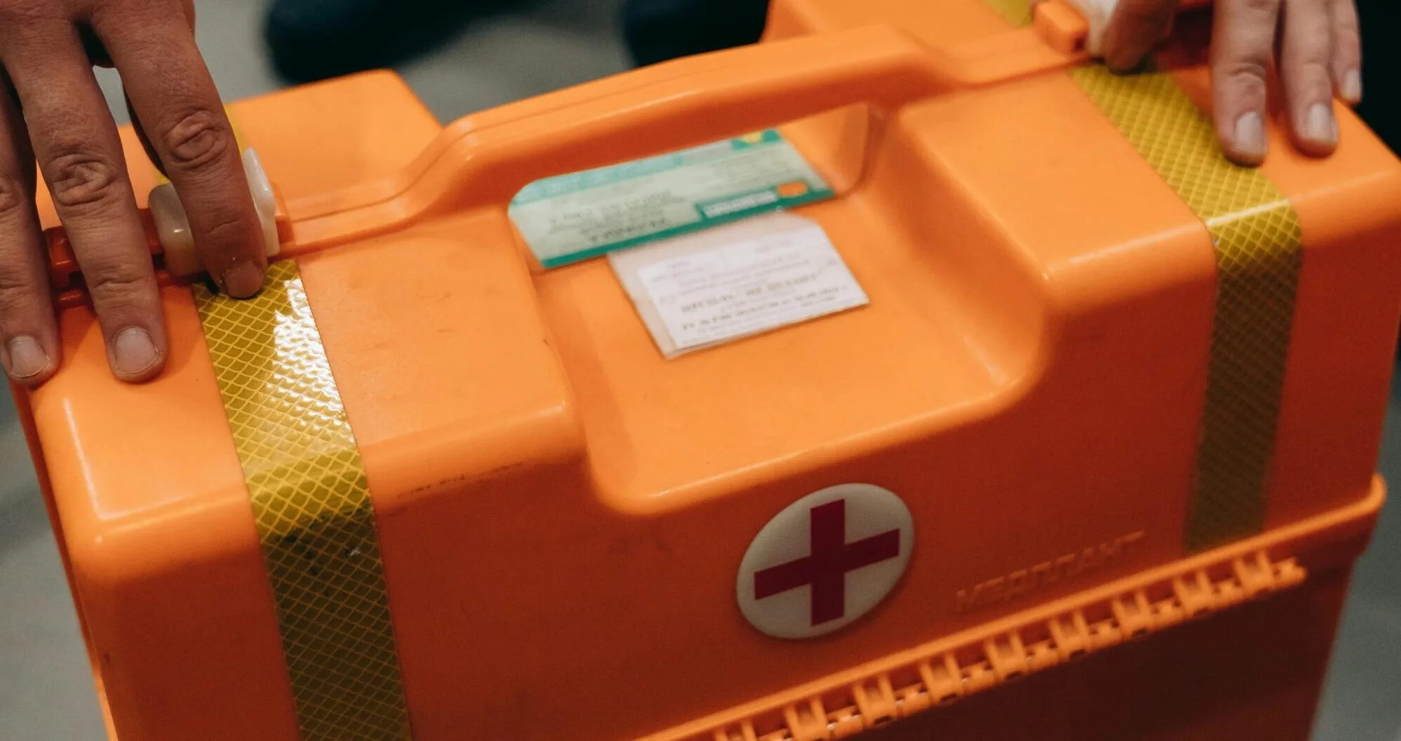 Building a first-aid kit for all your four-legged family members ...