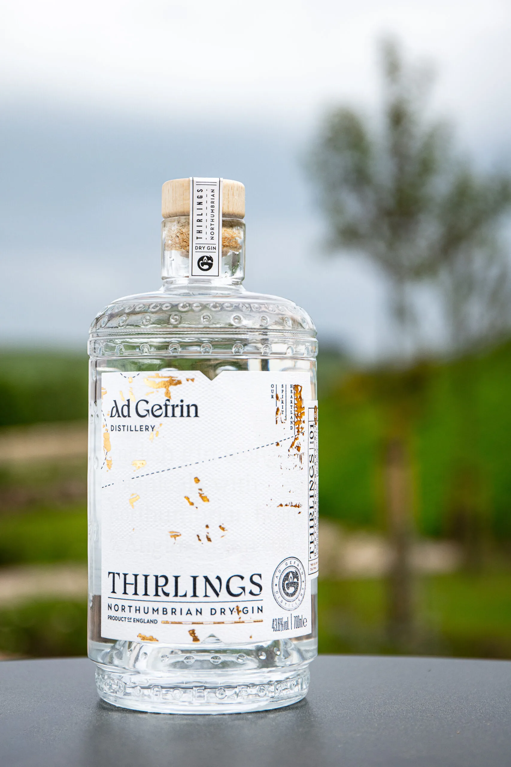 Nick Ede's guide to the perfect gins for World Gin Day | London Daily News