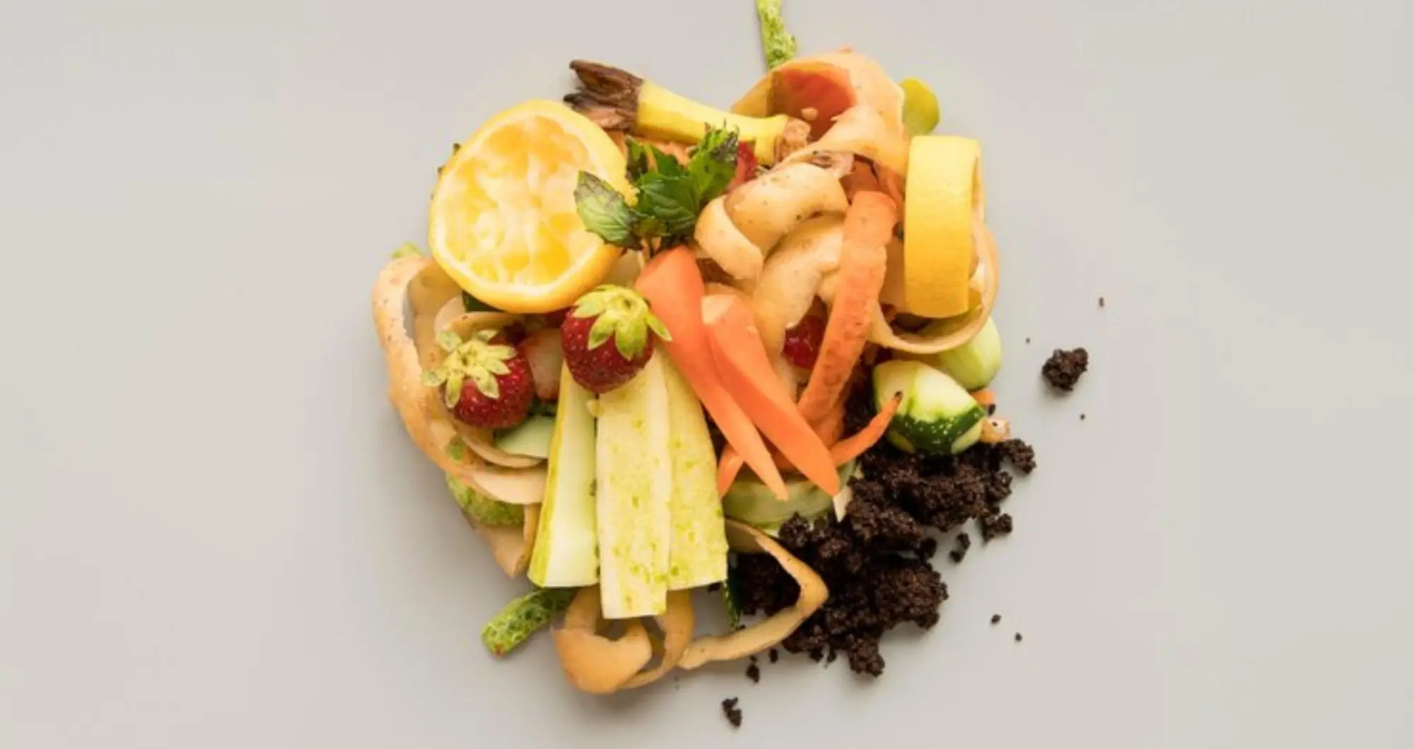 Why composting organic waste benefits the environment? | London Daily News