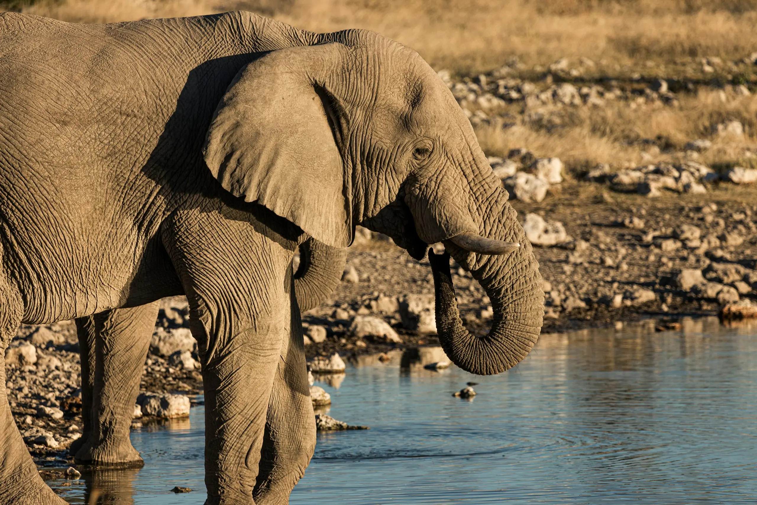 5 mountain bike races in and around Kruger National Park to complete ...