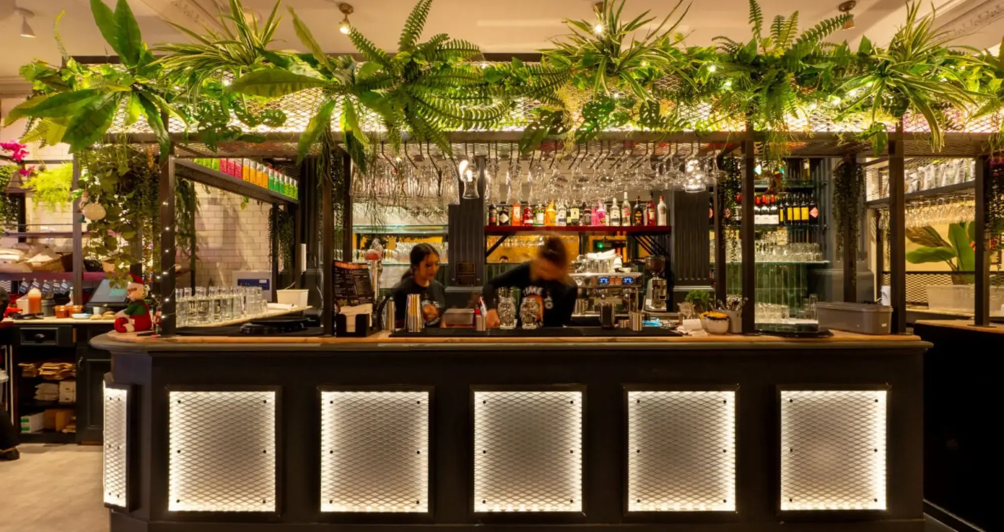 Award winning Banana Tree Restaurant announces the official opening of ...