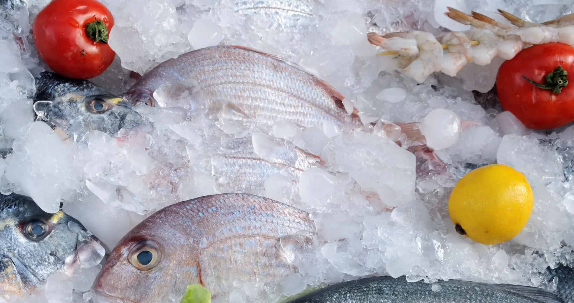 The role of ice in food preservation: Keeping your ingredients fresh ...