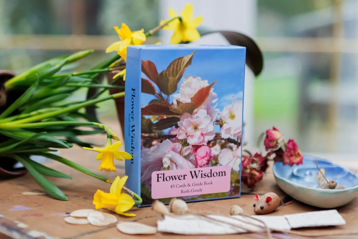 The power of flowers | London Daily News