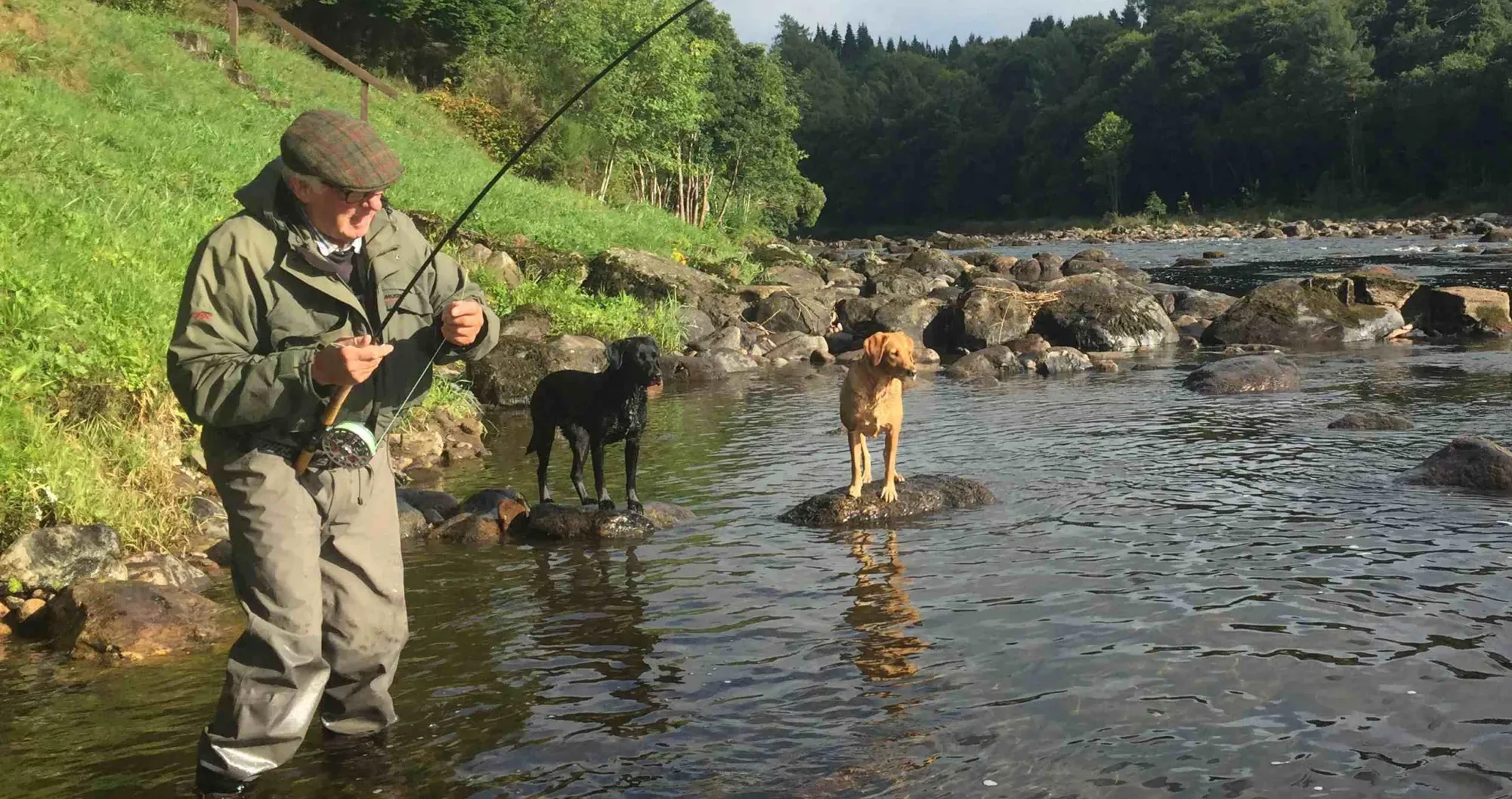 2024’s ‘Great Scottish Salmon Run’ will help charities and protect ...