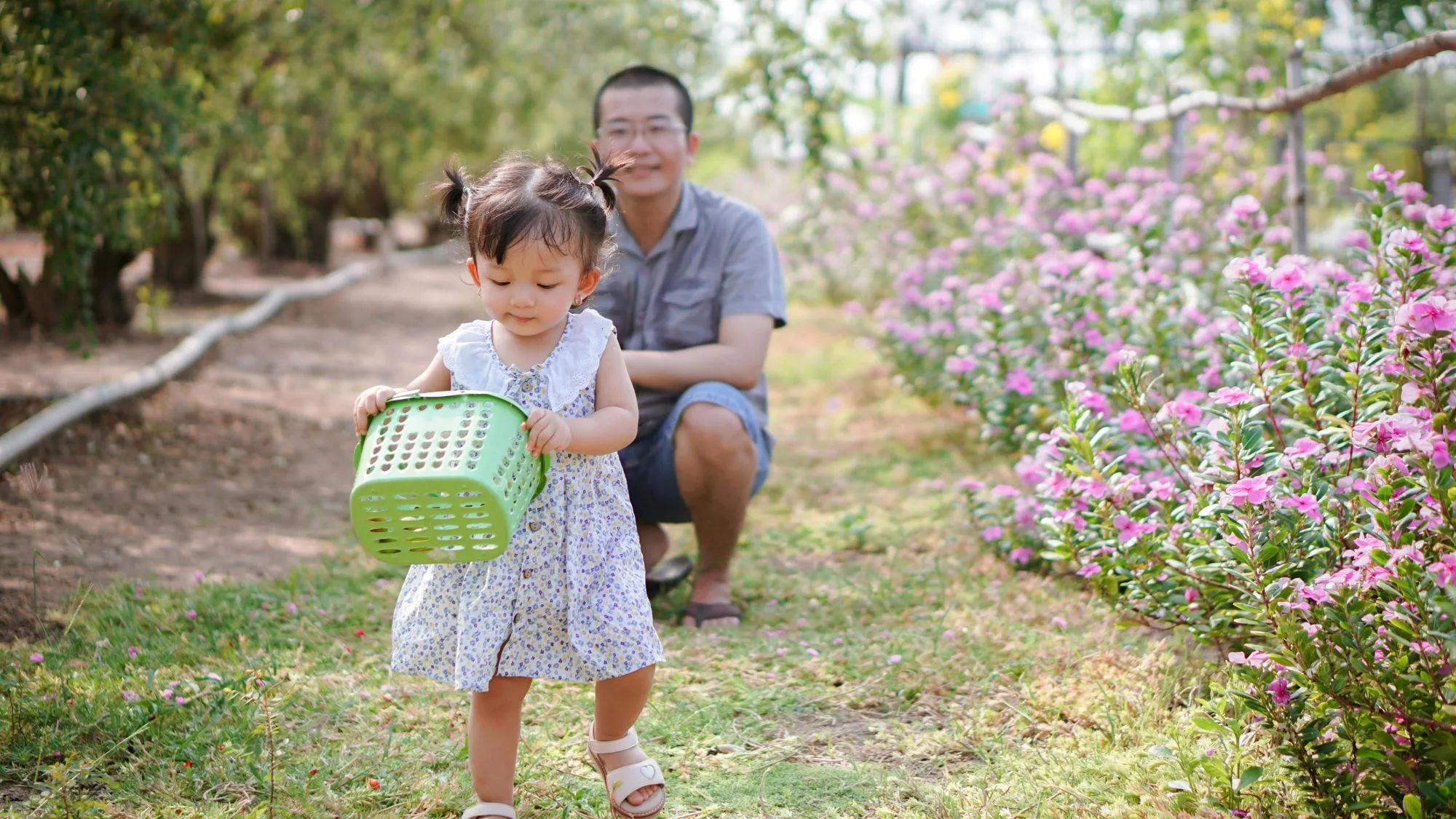 Community in bloom: Free weekly gardening workshops for all ages at ...