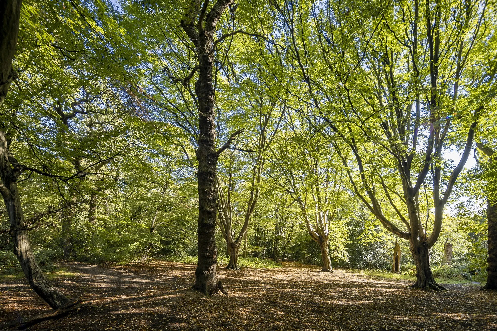 Here comes the sun… time to explore Epping | London Daily News