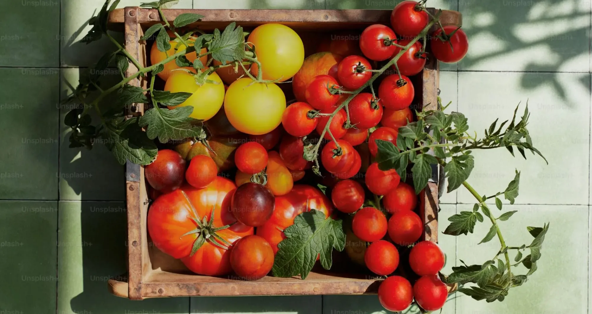 Love organic this September with the Soil Association | London Daily News