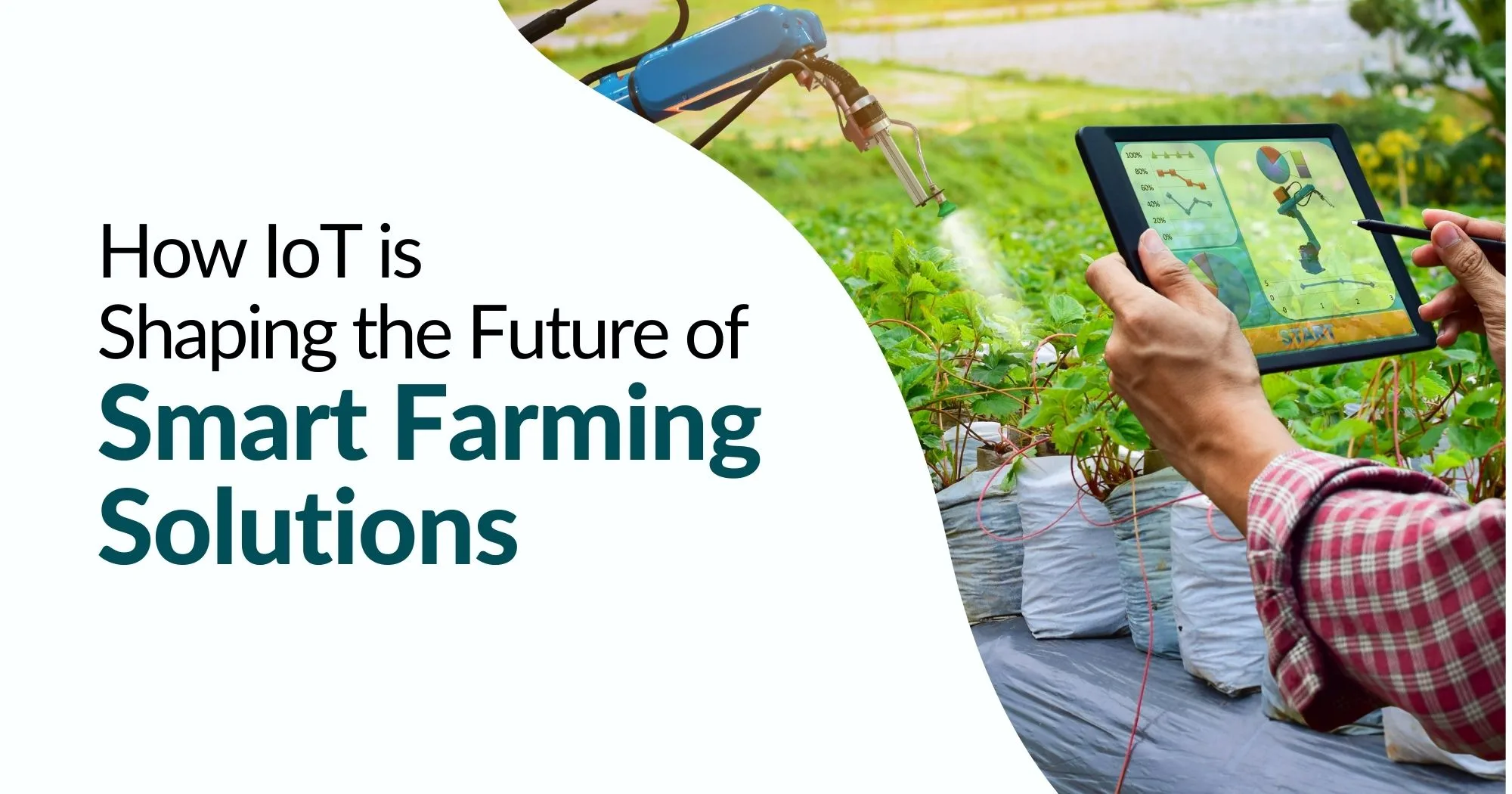 How IoT is shaping the future of smart farming solutions | London Daily ...