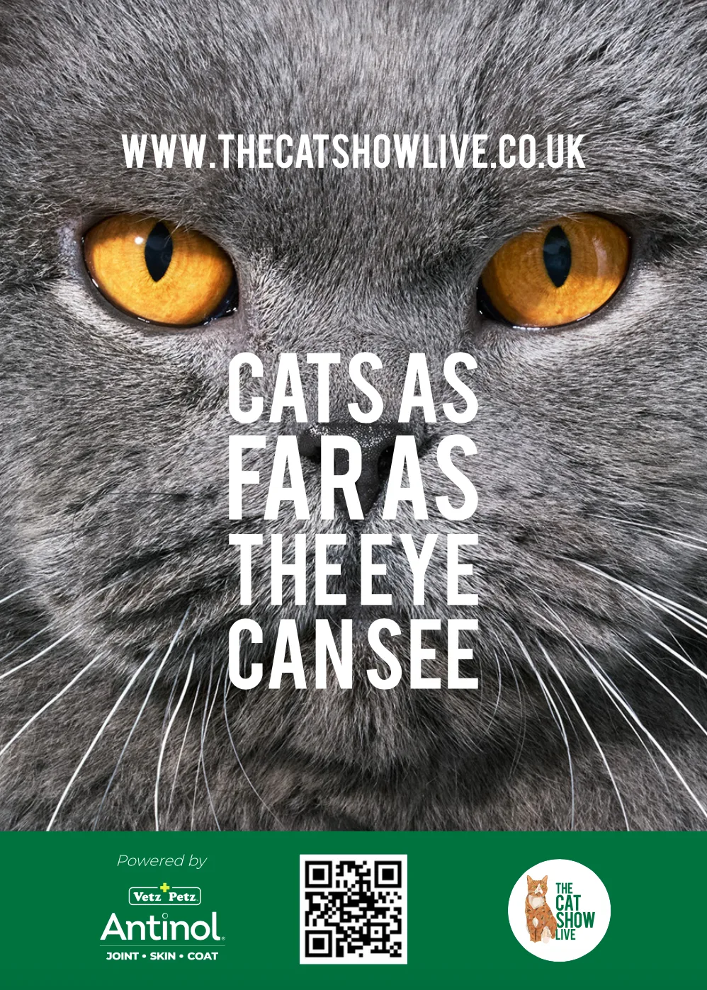 Experience a world of feline wonder: Empower your inner cat lover at ...