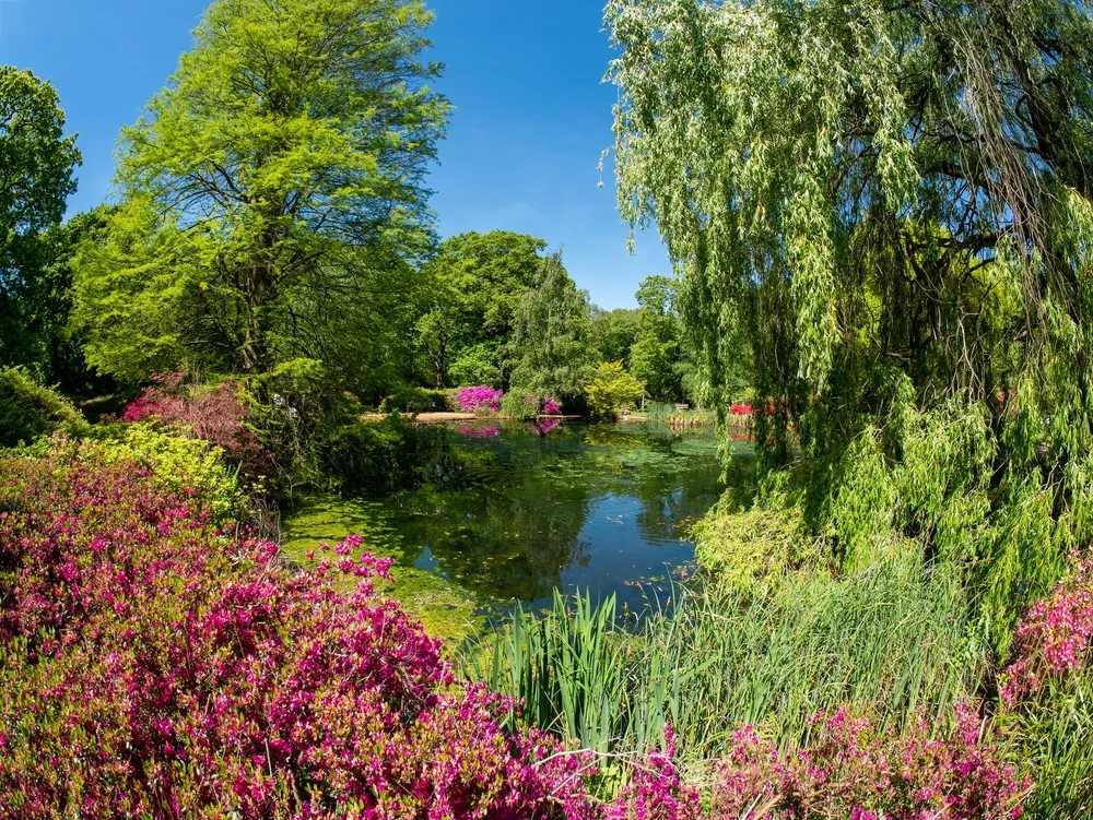 My top 5 London nature therapy spots | London Daily News