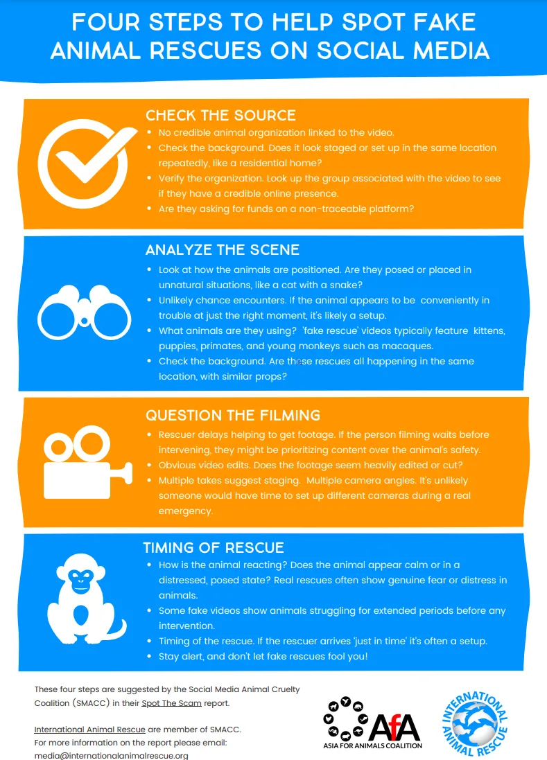 How to spot the scam: Report exposes dangerous rise of “fake rescue ...