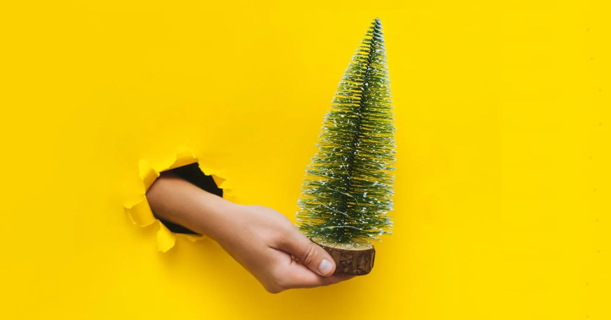 This festive season, a playful re-telling of Hans Christian Andersen’s ...