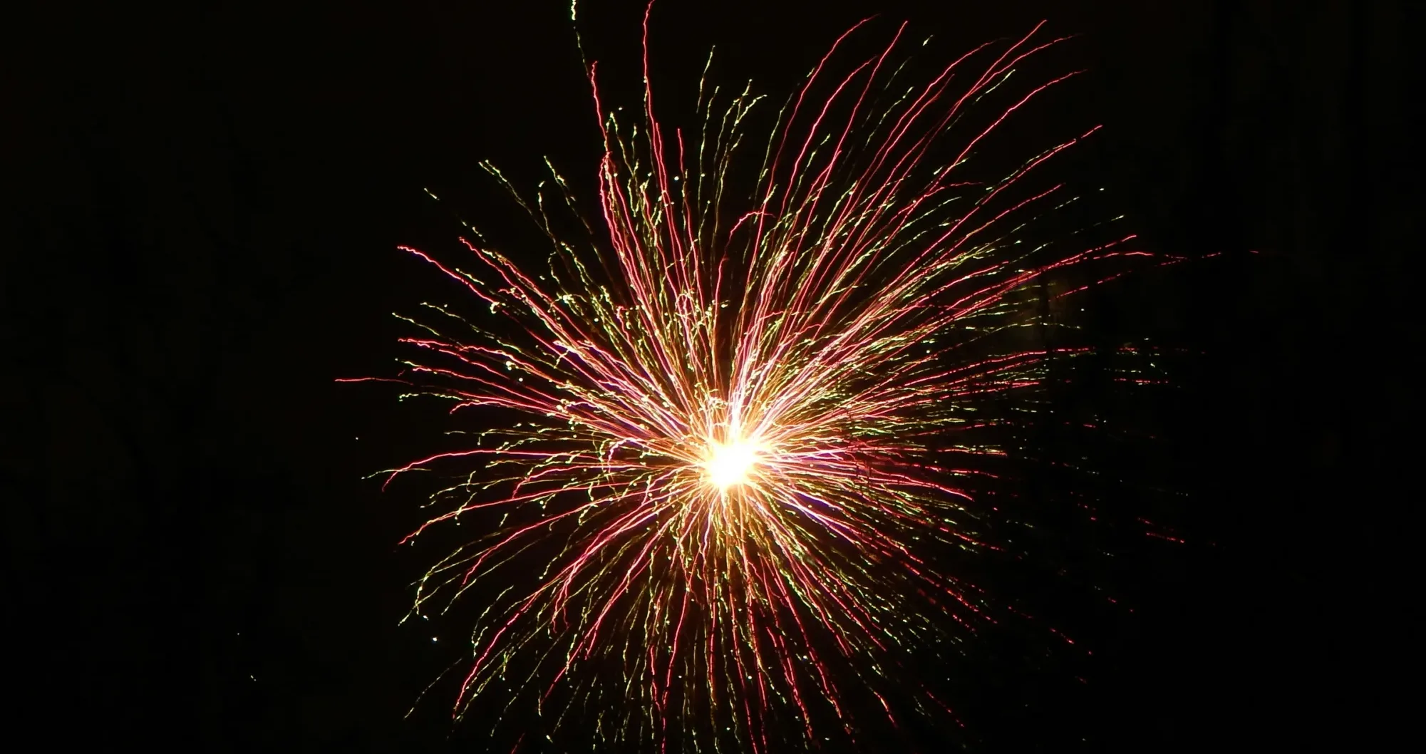 Pet owners: Do you know how to keep your pets safe this fireworks ...