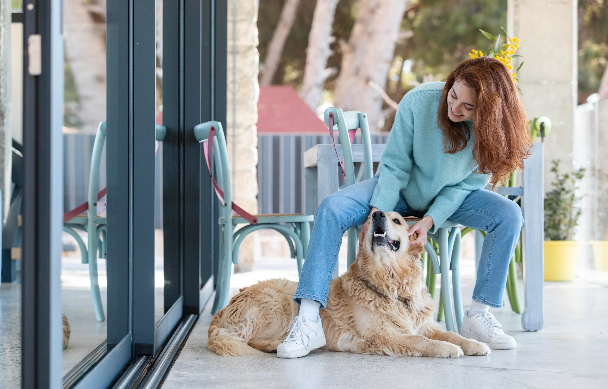 Apartment-friendly dog breeds: Finding the perfect match with reliable ...