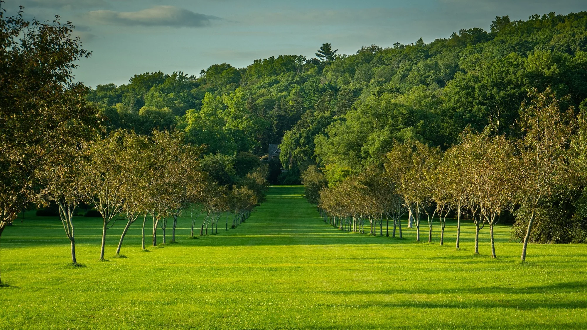 Lexsynergy expands 'One domain, One tree' initiative to all domain ...