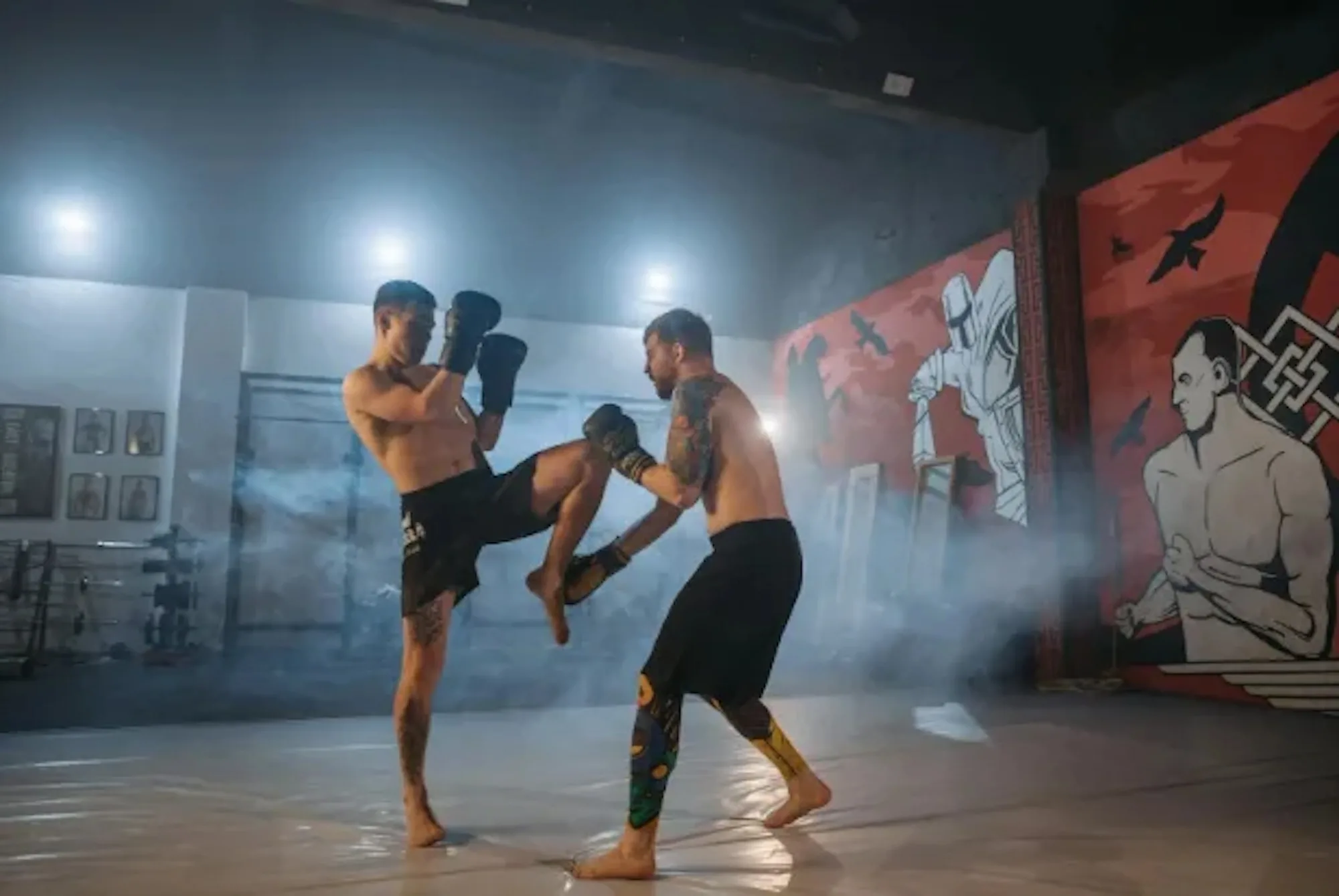 How to choose the best MMA mats for training | London Daily News