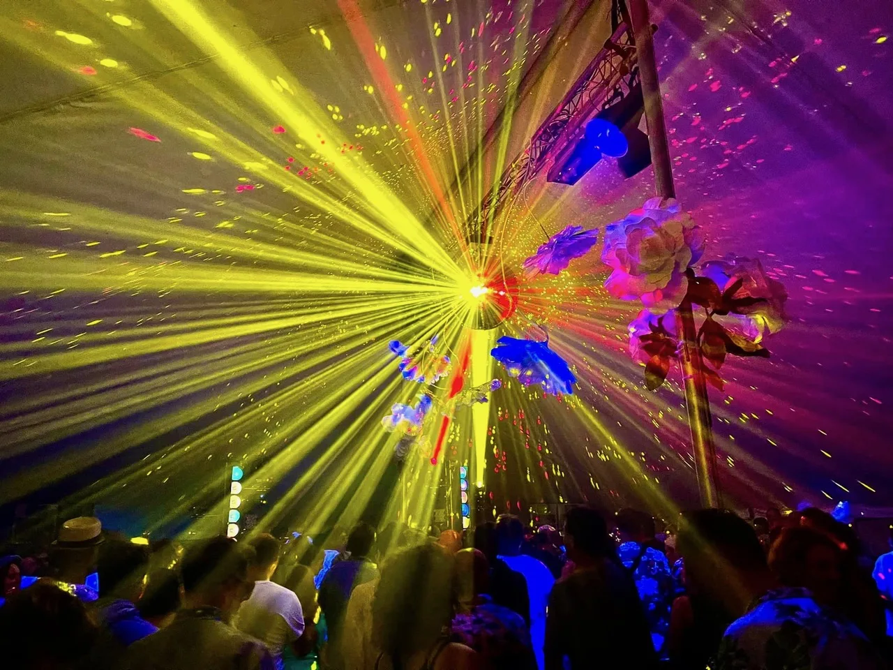 Campo Sancho announces first wave of artists for 2025 festival | London ...